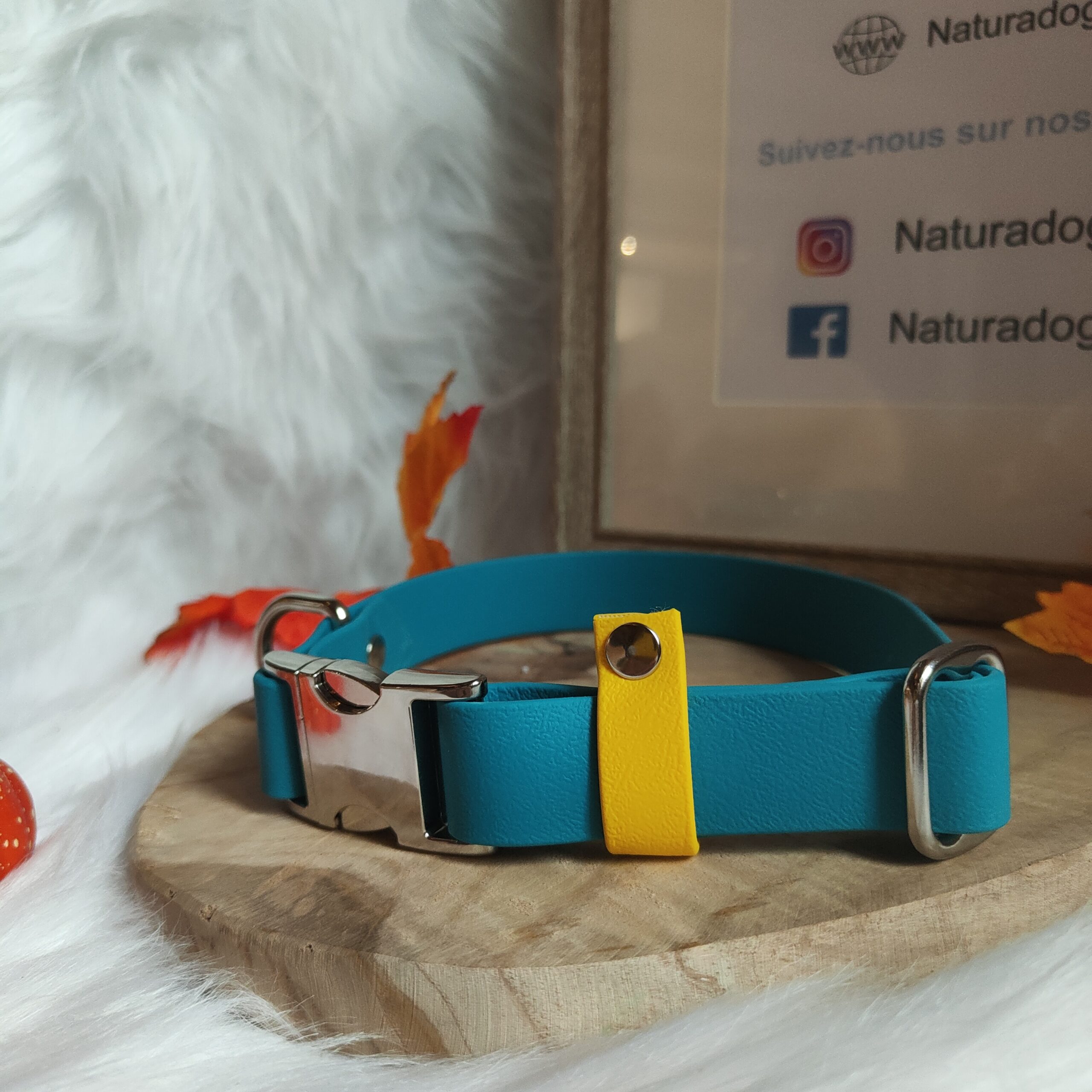 colliers pour chiens en biothane