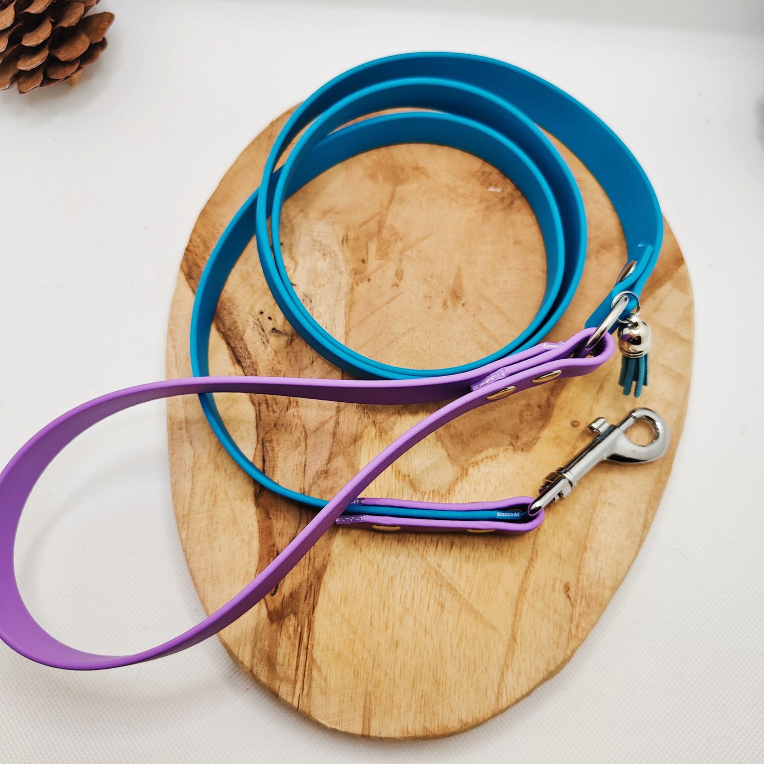 Chien Biothane : Guide Complet et Tendances 1ere partie