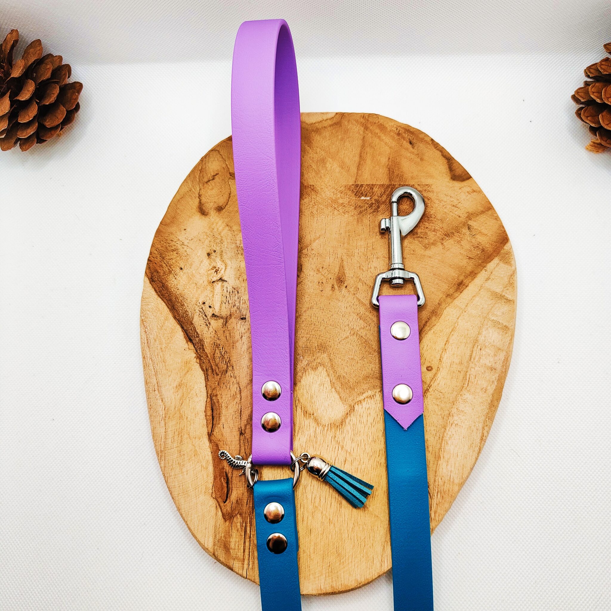 Laisse pour chien en Biothane® 2 couleurs- Made in France